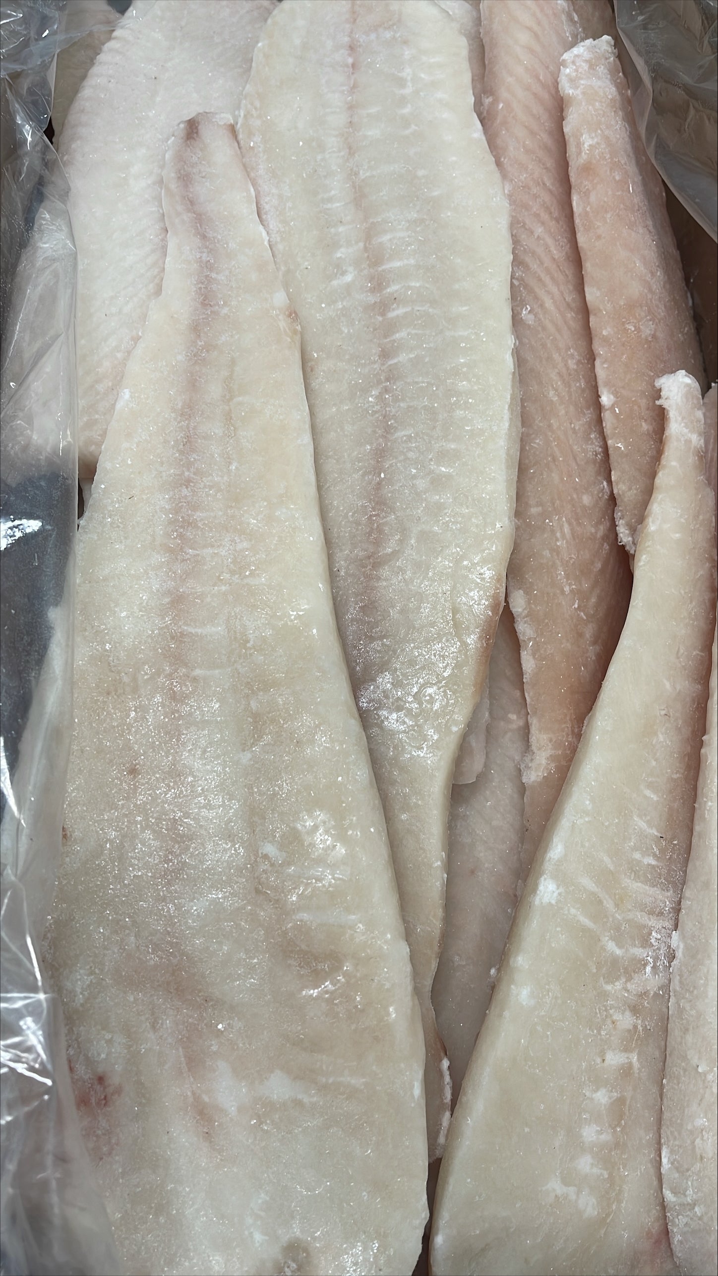 Halibut,1-3lb, Fletches, Skinless, Boneless, Frozen, IQF, Canada, NW, | Inter-Canada Fisheries