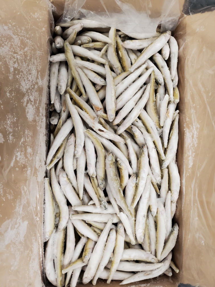 Lake Smelts (Silverside), Whole Round, Frozen, IQF, Canadian, NW, 11 l ...