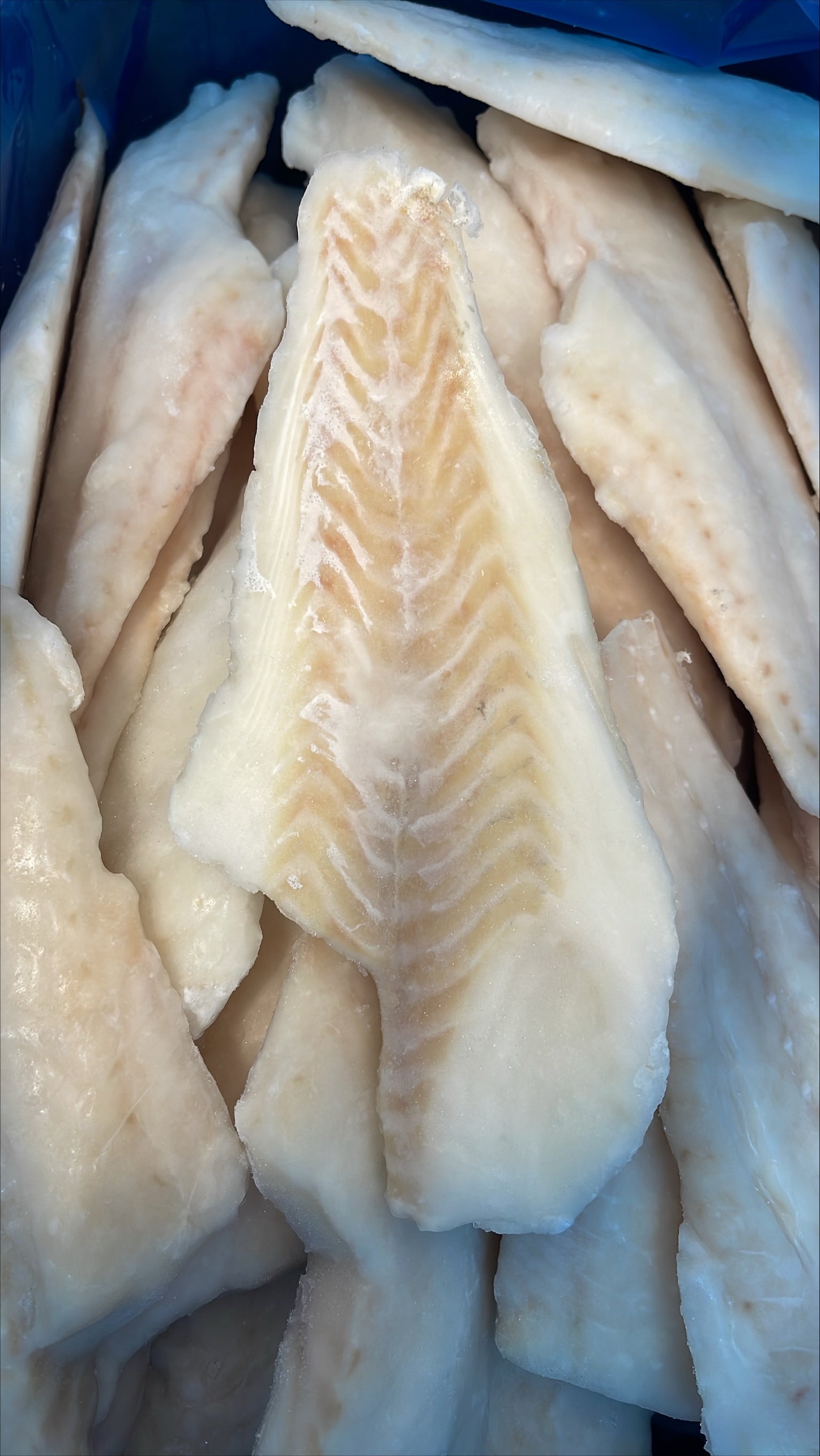 Haddock, 4 oz, Fillets, Skinless, Boneless, J-Cut, Frozen, NW, 10 lb ...