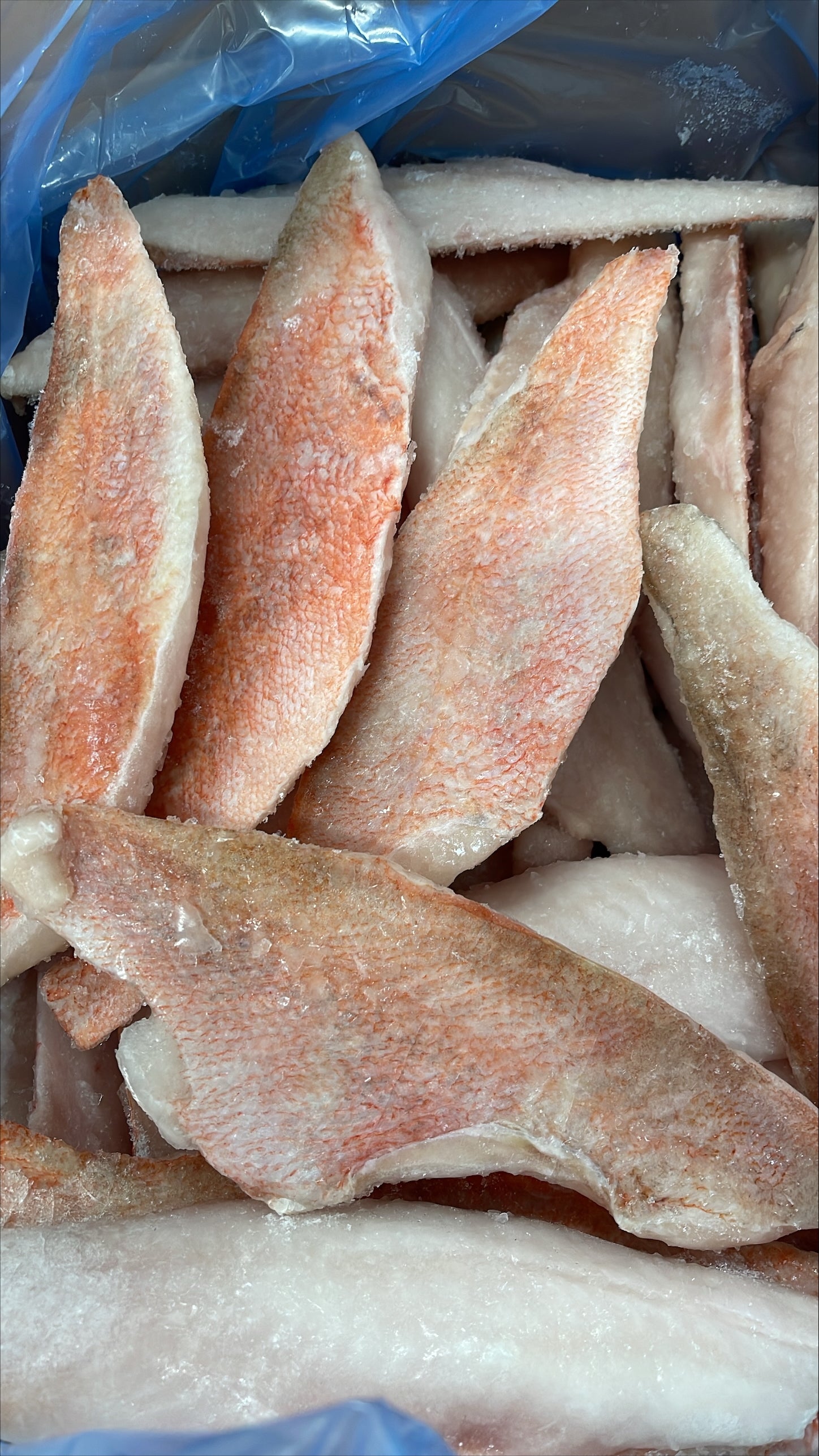 Perch (Ocean), 4-6 oz, Skin On, Boneless, Frozen, NW, 10 lb | Inter ...