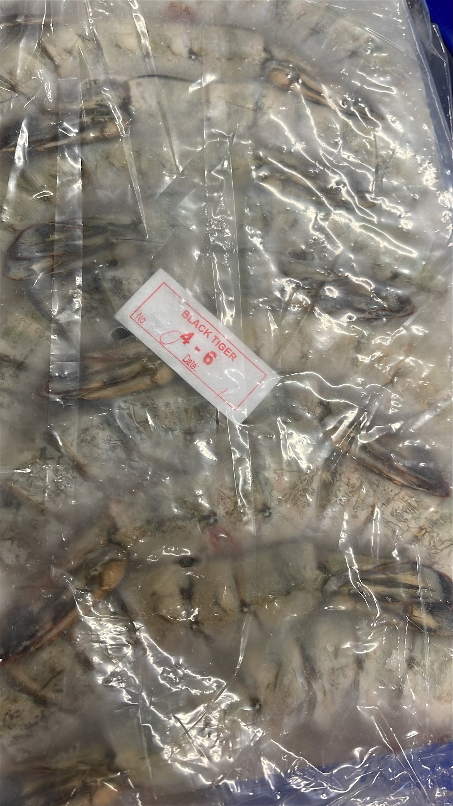 Shrimp (Black Tiger), 4-6, HLSO, Frozen, Block, NW, 24lb, 6 x 4lb ...