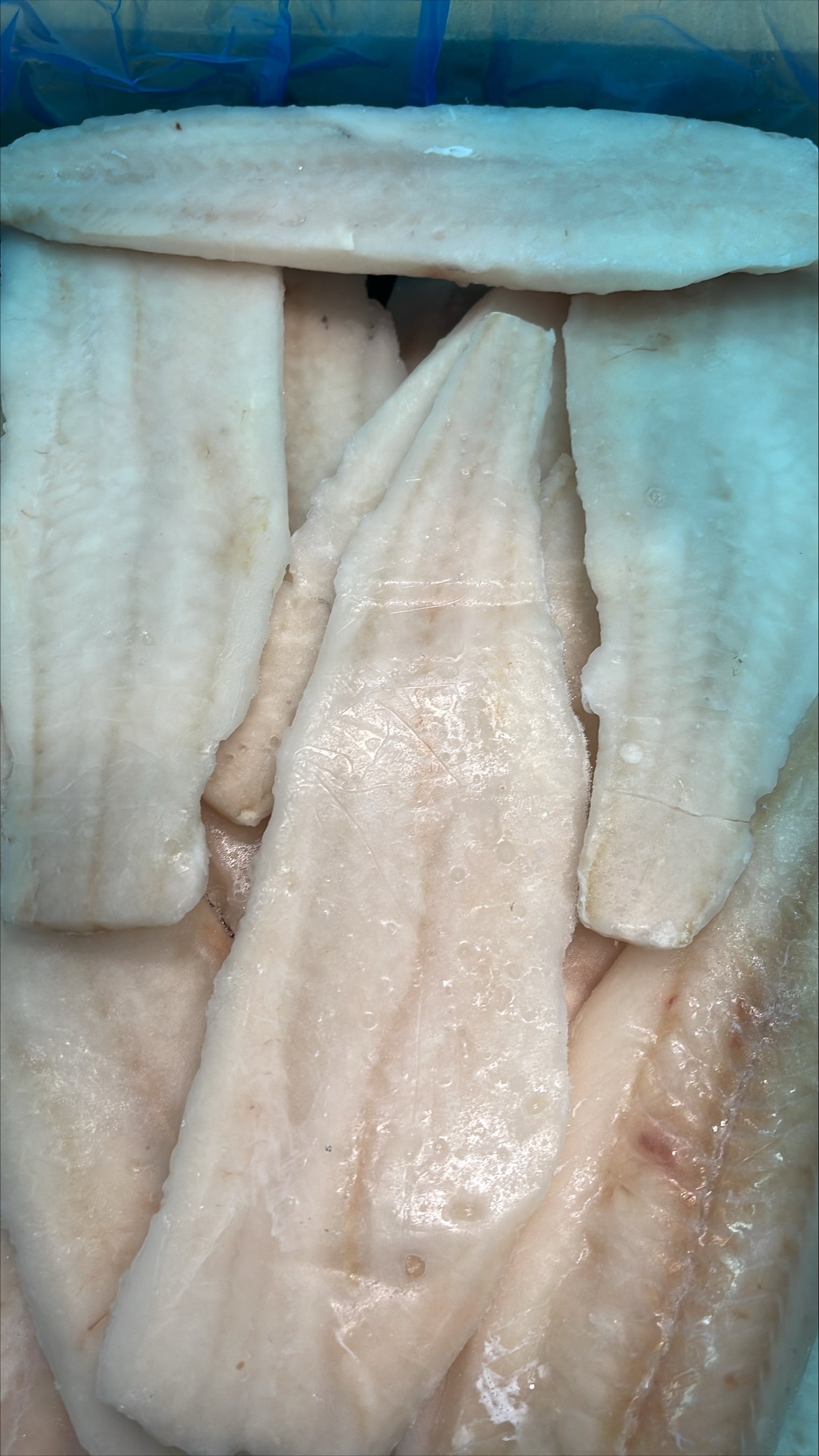 Frozen | Inter-Canada Fisheries