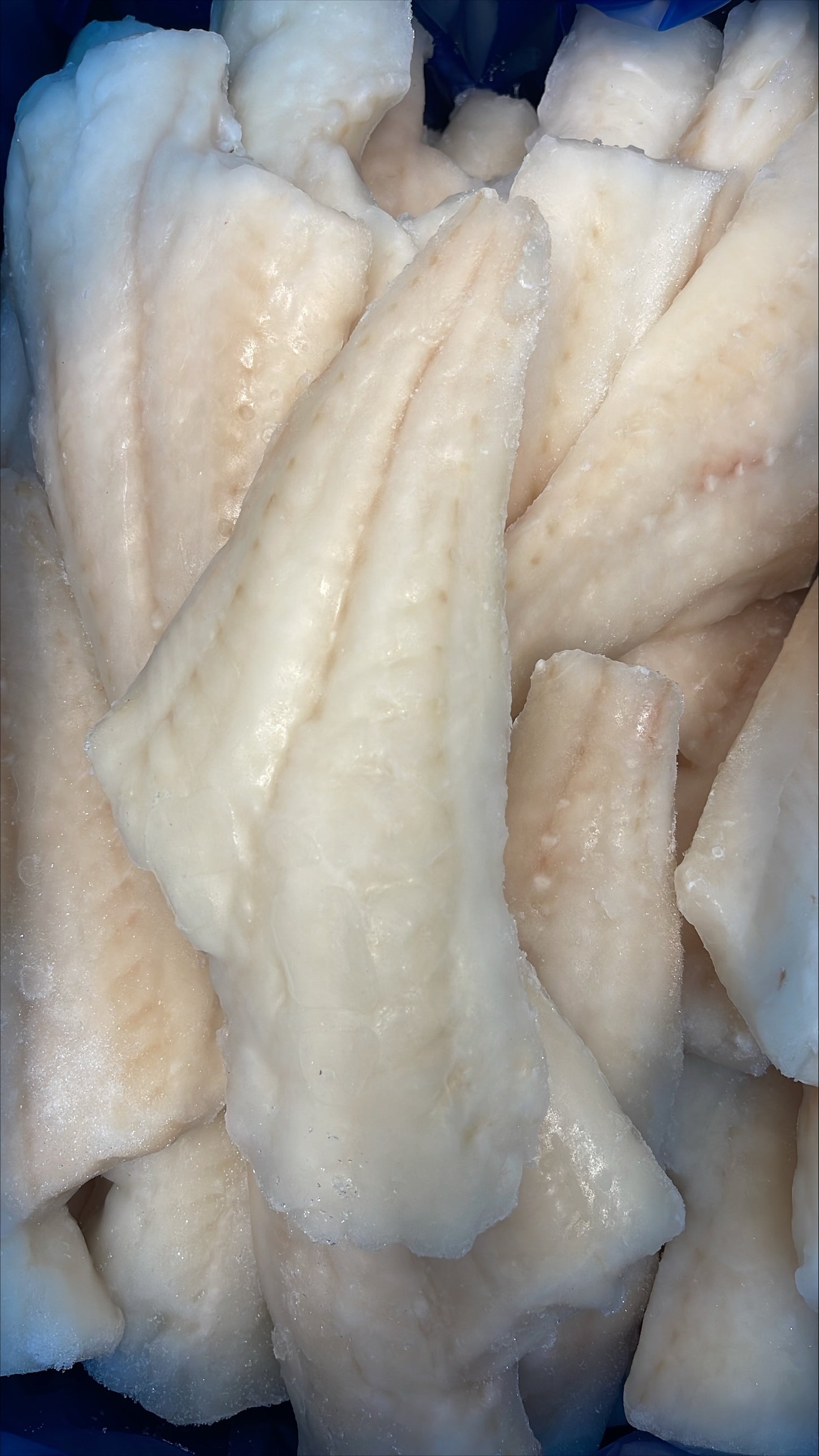 Haddock, 5 oz, Fillets, Skinless, Boneless, J-Cut, Frozen, NW, 10 lb ...