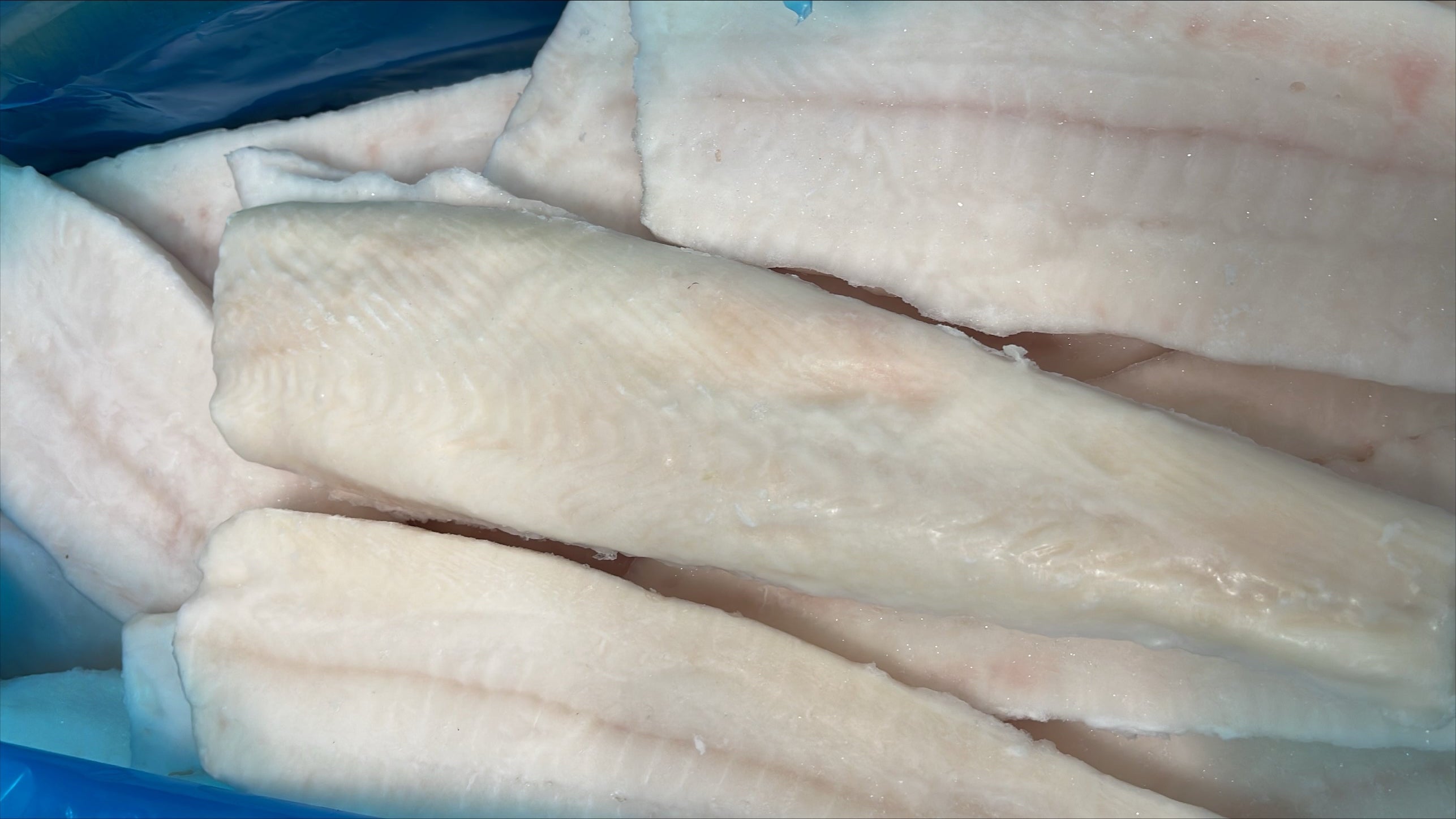 Halibut (Pacific), 8-16 oz, Fletches, Frozen, NW, 25 lb | Inter-Canada ...