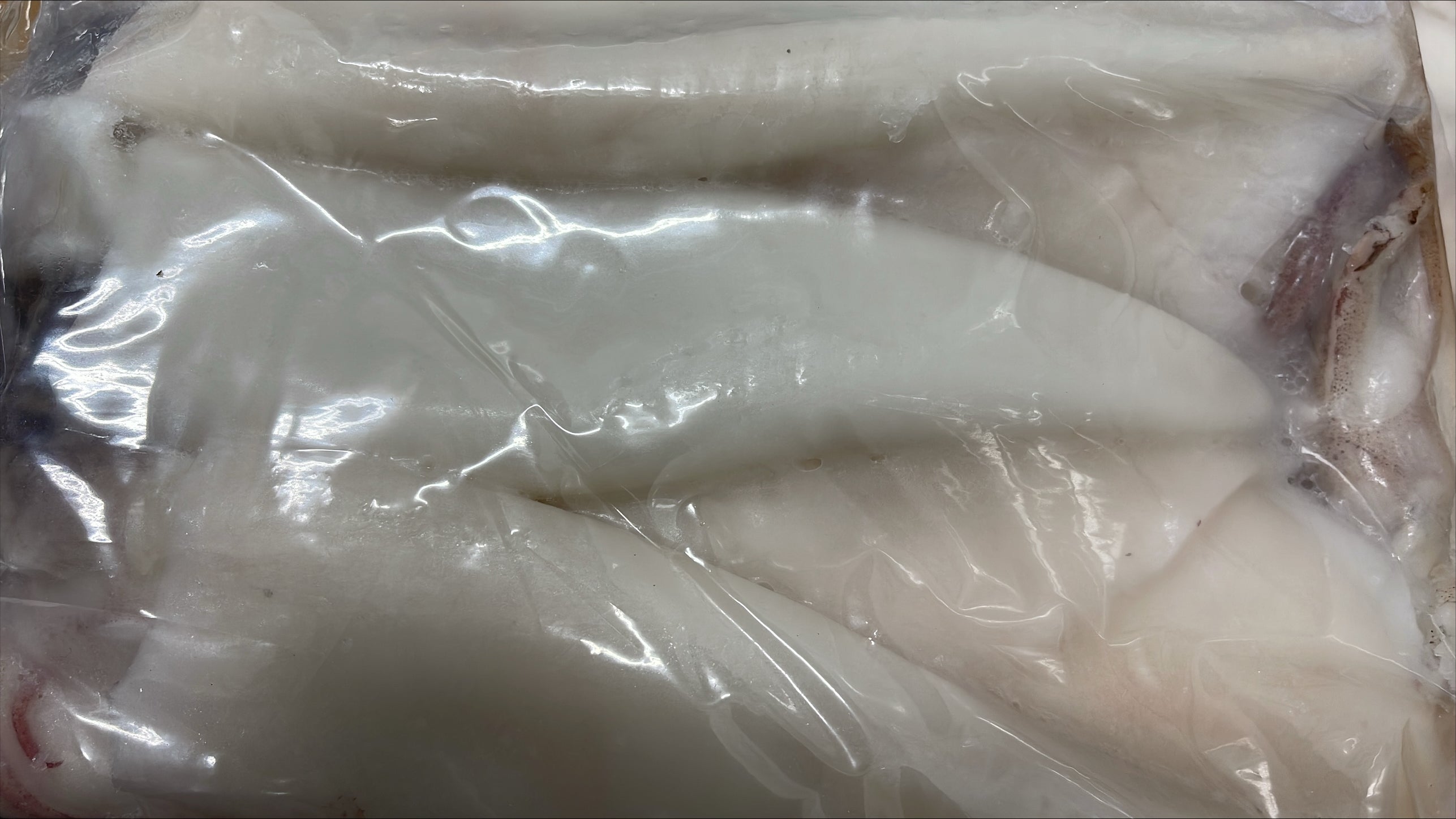 Squid (Loligo For.), U5, Whole, Cleaned, Frozen, Thailand, NW, 12 kg ...