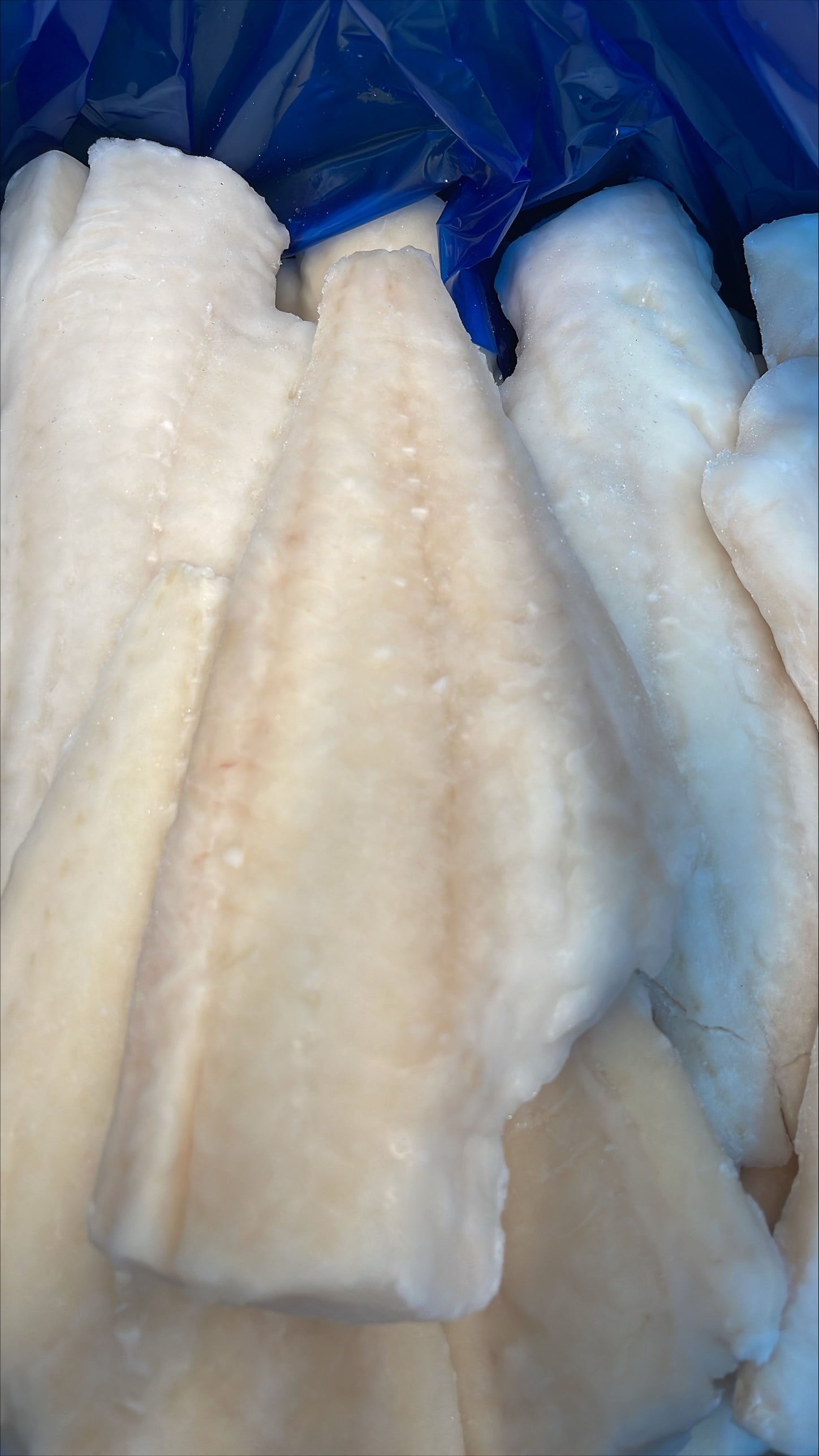 Haddock, 8 oz, Fillets, Skinless, Boneless, J-Cut, Frozen, NW, 10 lb ...