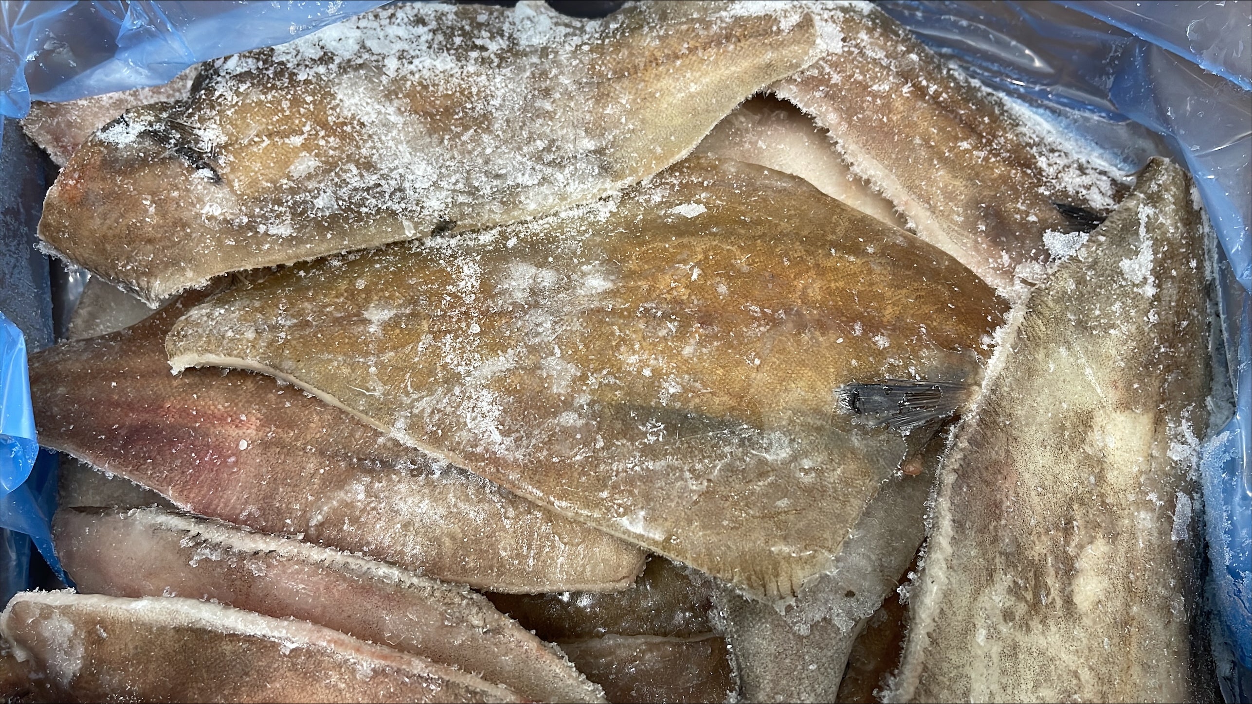 Sole, (Grey), 150-300 g, Headless, Gutted, Frozen, NW, 10 lb | Inter ...