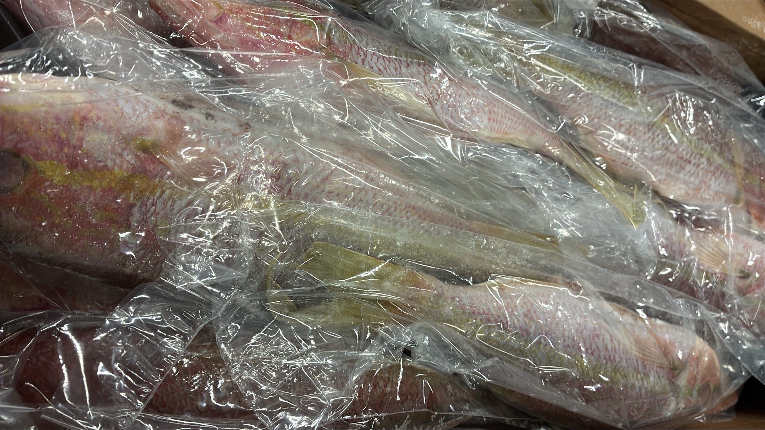Snapper (Yellow Tail), 1/2-3/4 lb, GGS, Frozen, NW, 10 lb | Inter ...