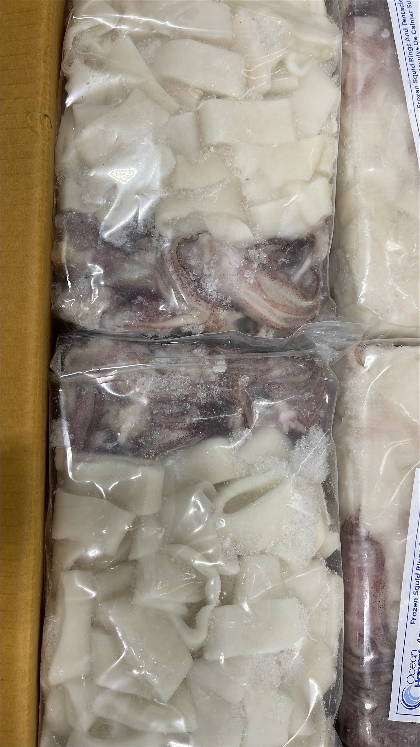 Squid (Loligo Raw), U10 Rings & Tentacles, Frozen, Thailand, NW, 30 lb ...