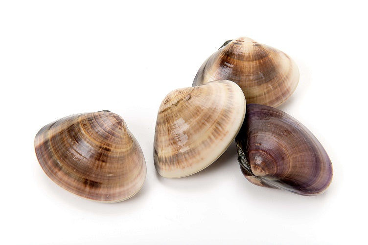 Clams | Inter-Canada Fisheries